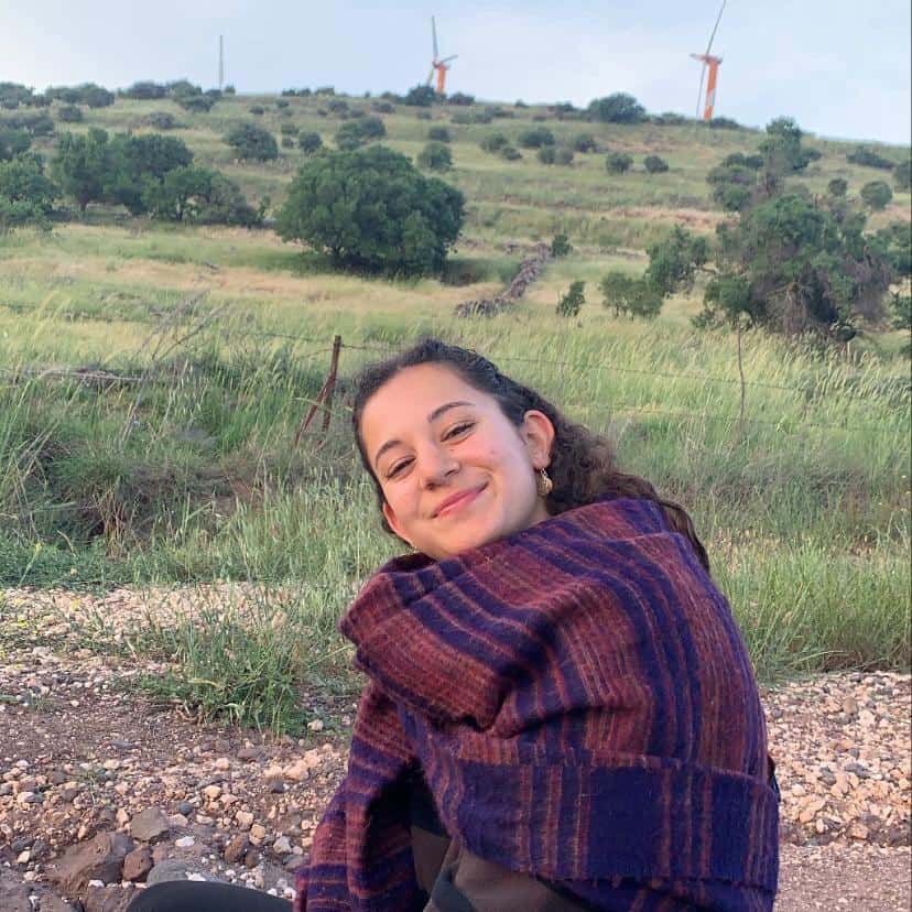 Maya Regev - ICA Research Center