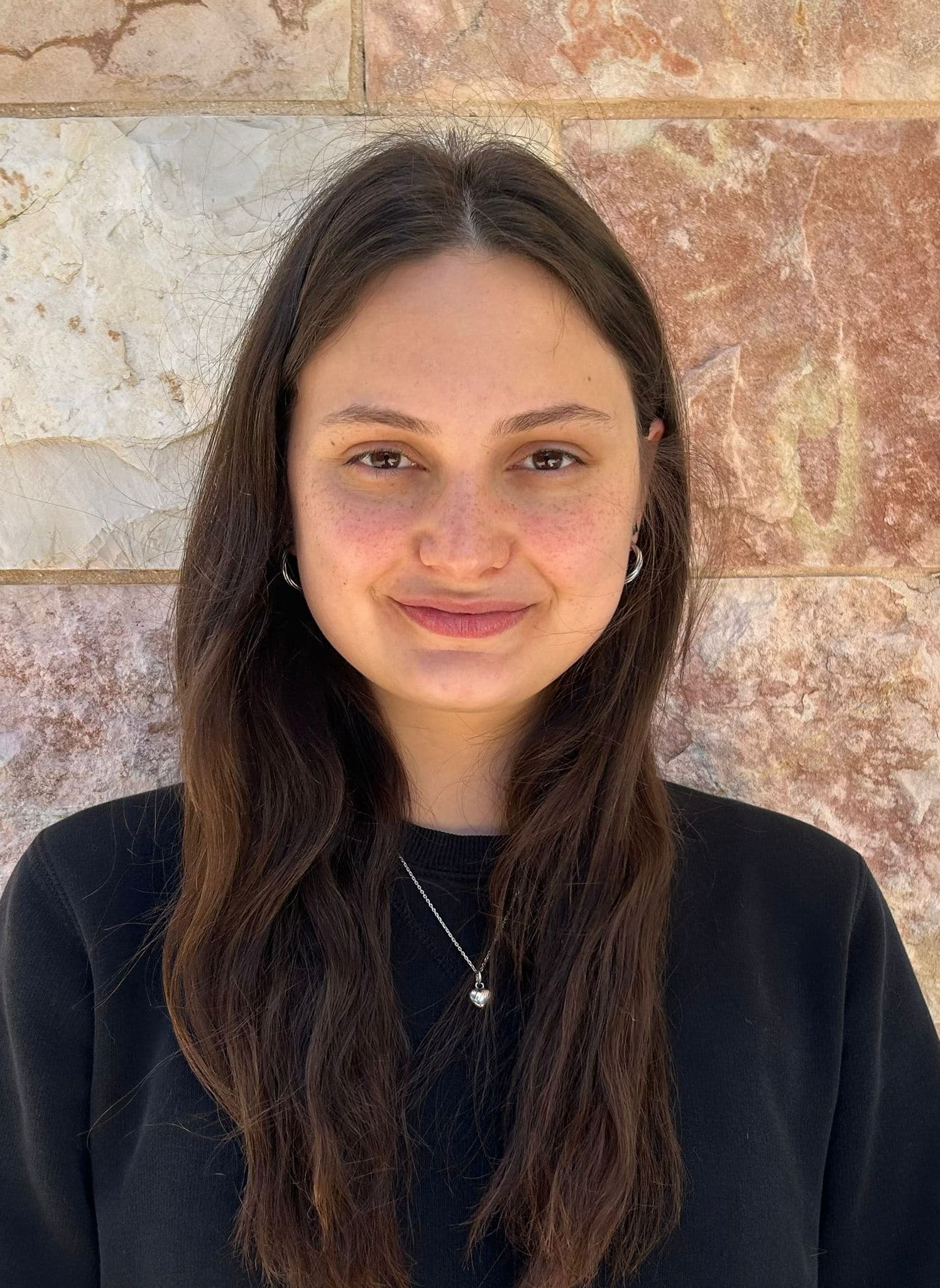 Einav Levine - ICA Research Center